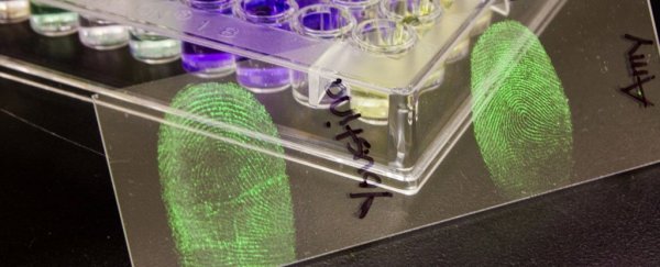 最新指纹技术可辨雌雄--中国数字科技馆