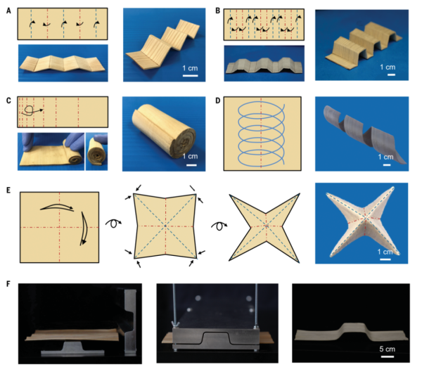 利用“水冲击”技术创造多功能可塑木材，强度增加6倍--中国数字科技馆